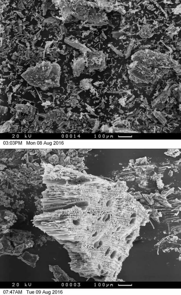 What Is Biochar | SoilFixer Ltd.